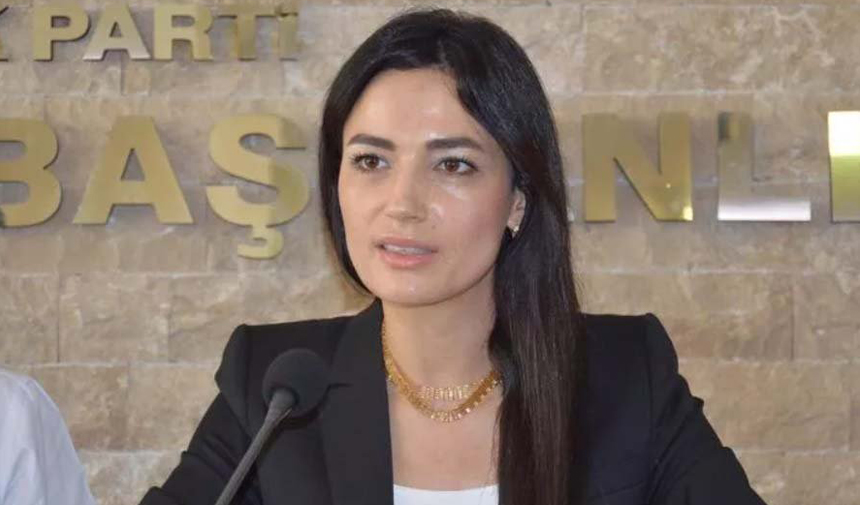 Seda Sarıbaş kimdir? Seda Sarıbaş milletvekili seçildi mi? - Elips Haber