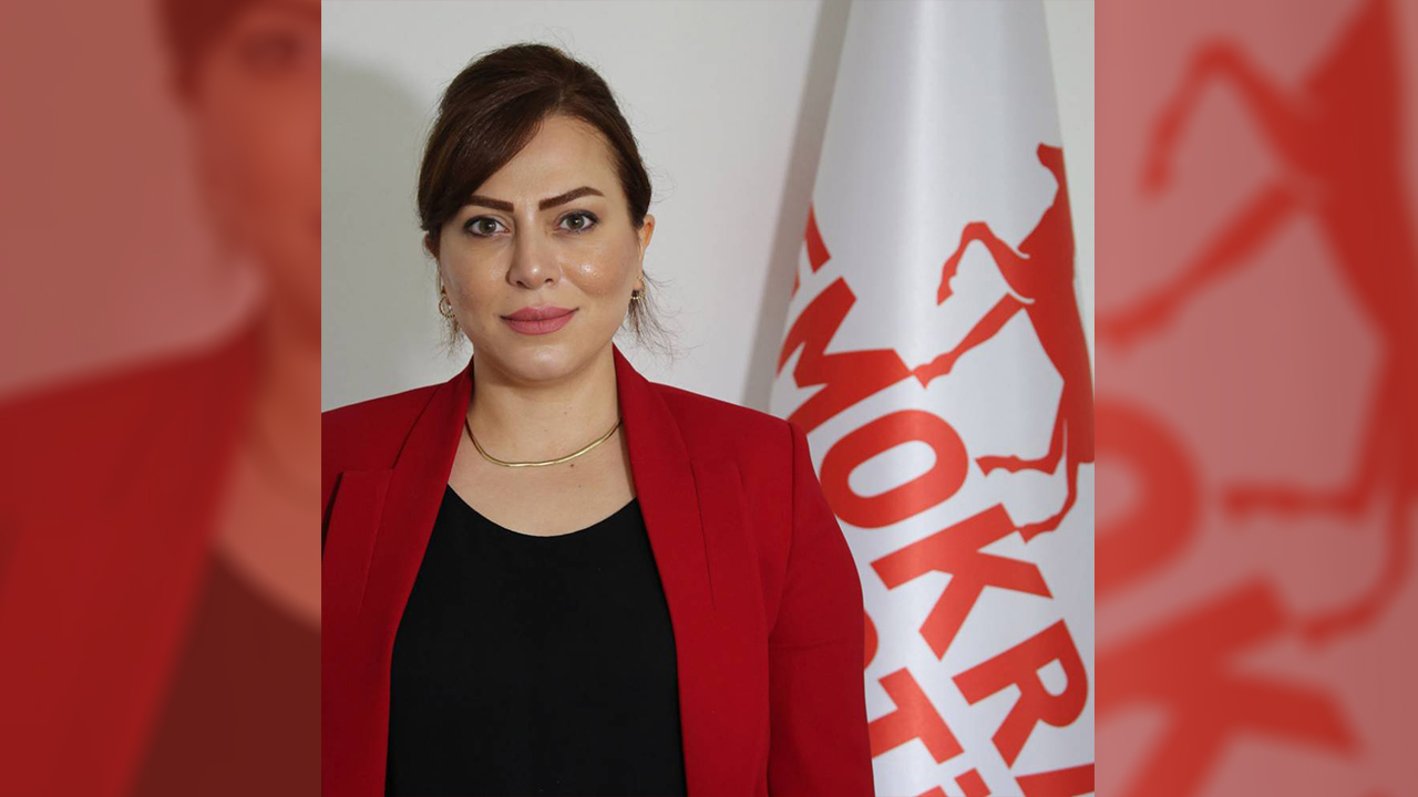 Fatma Yavuz DP’den aday adayı oldu - Elips Haber